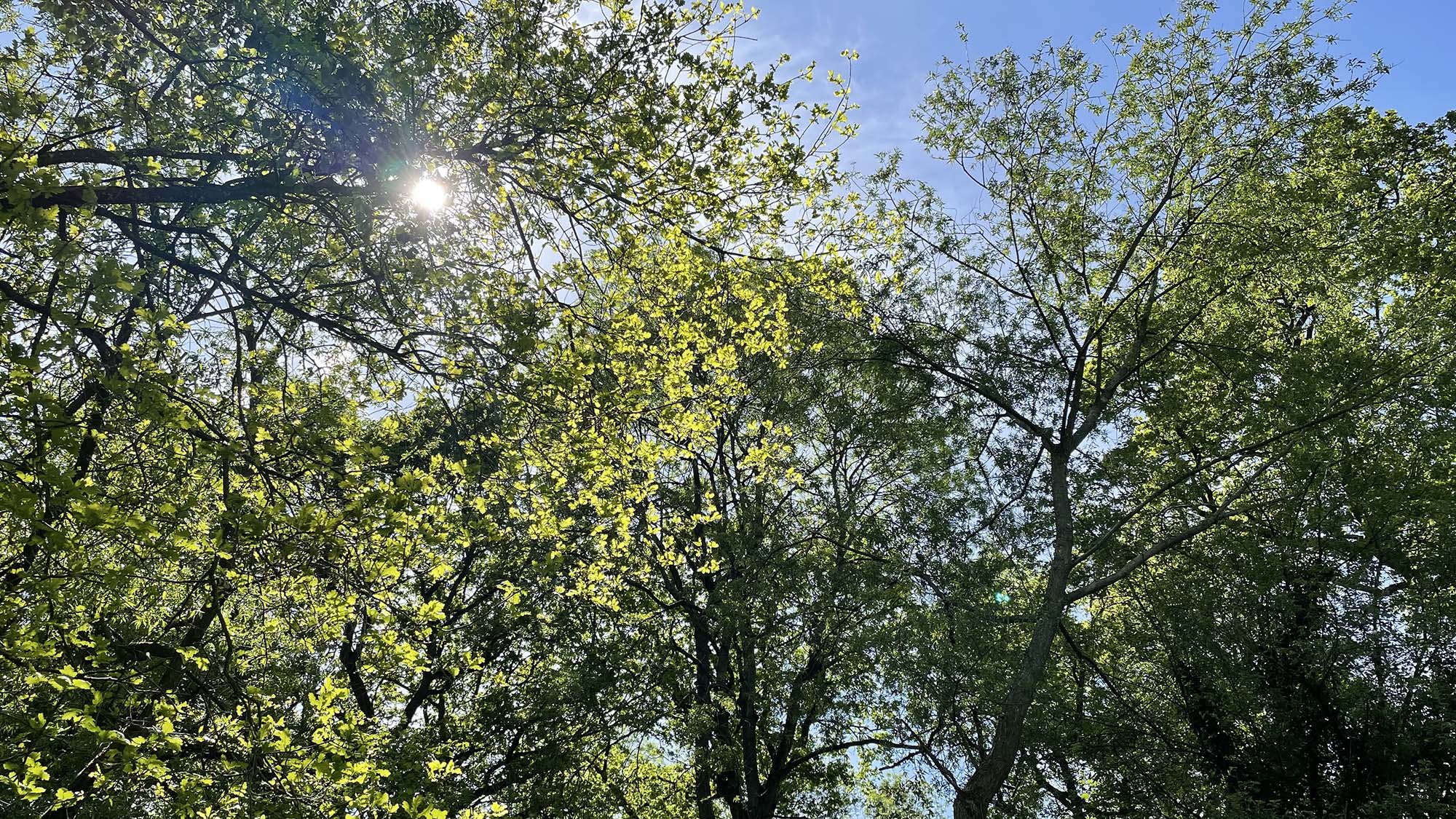 walk.draw - Ruth Broadbent